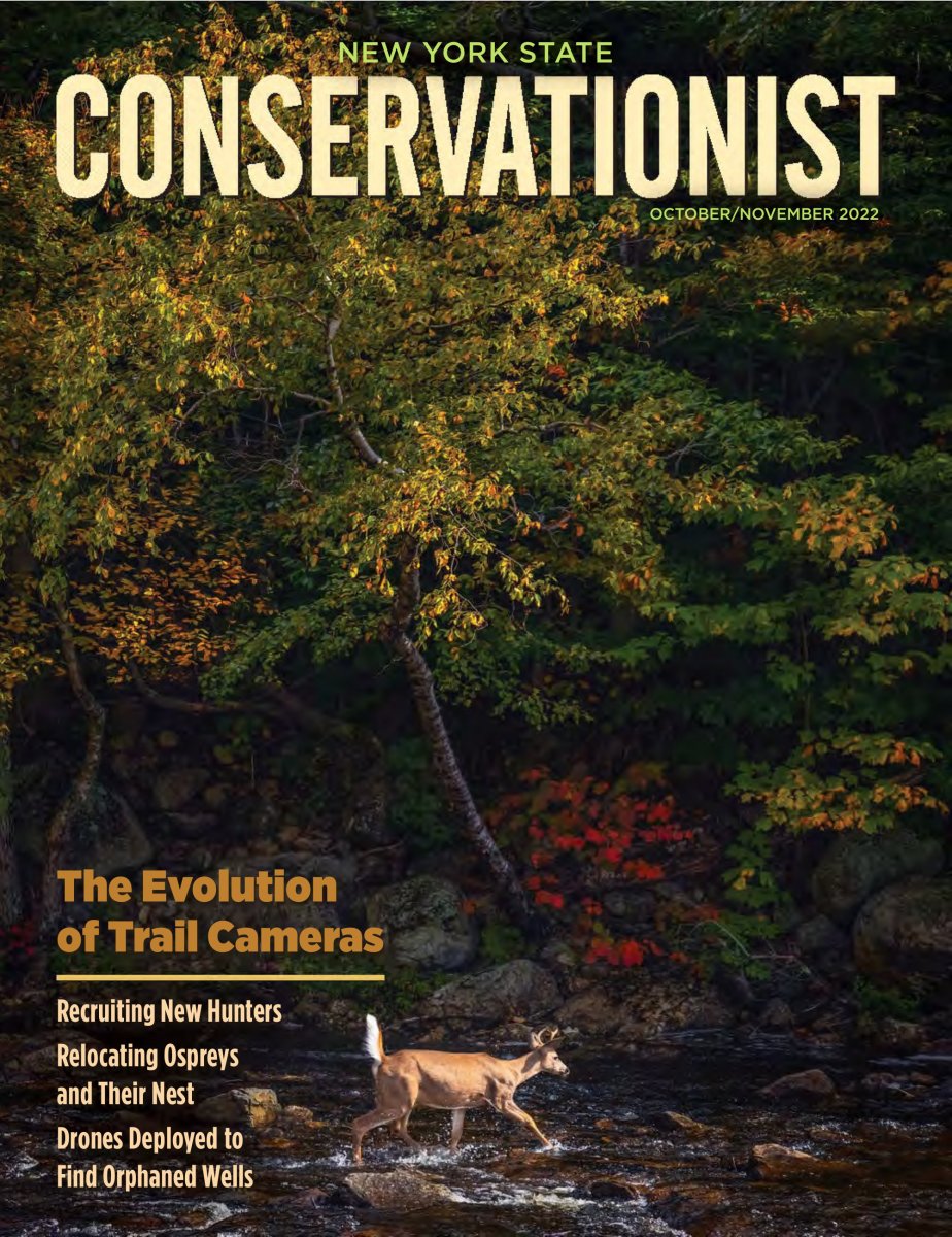 Conservationist Magazine – Joey Priola Wilderness Photography
